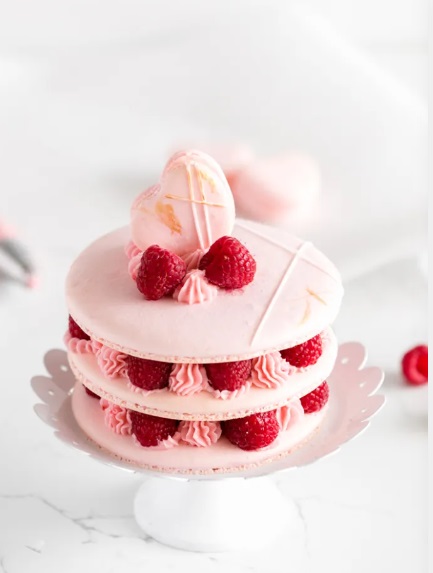 Macaron Cakes - skilledcooks